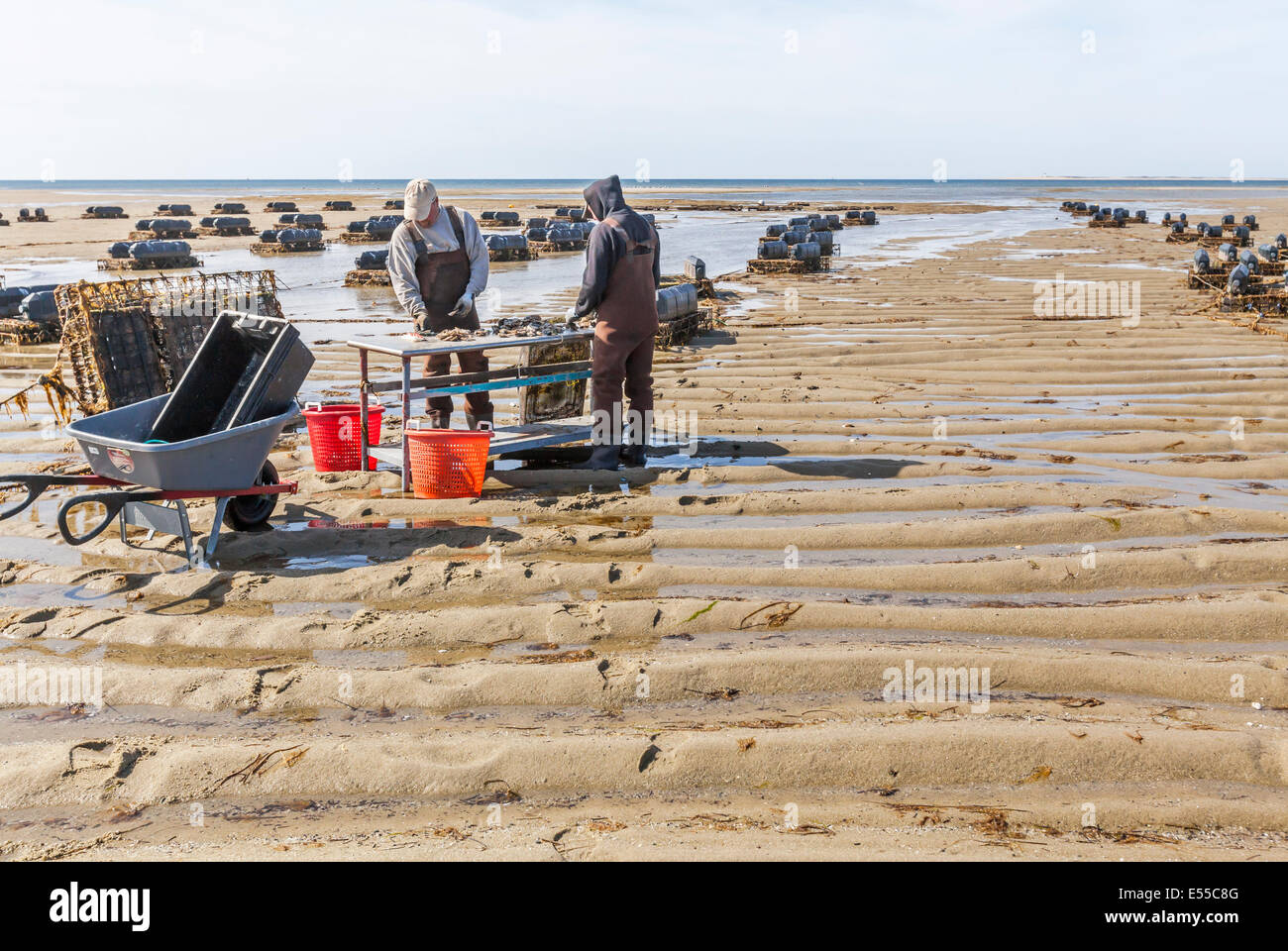 Working With The Tides High Resolution Stock Photography and Images - Alamy