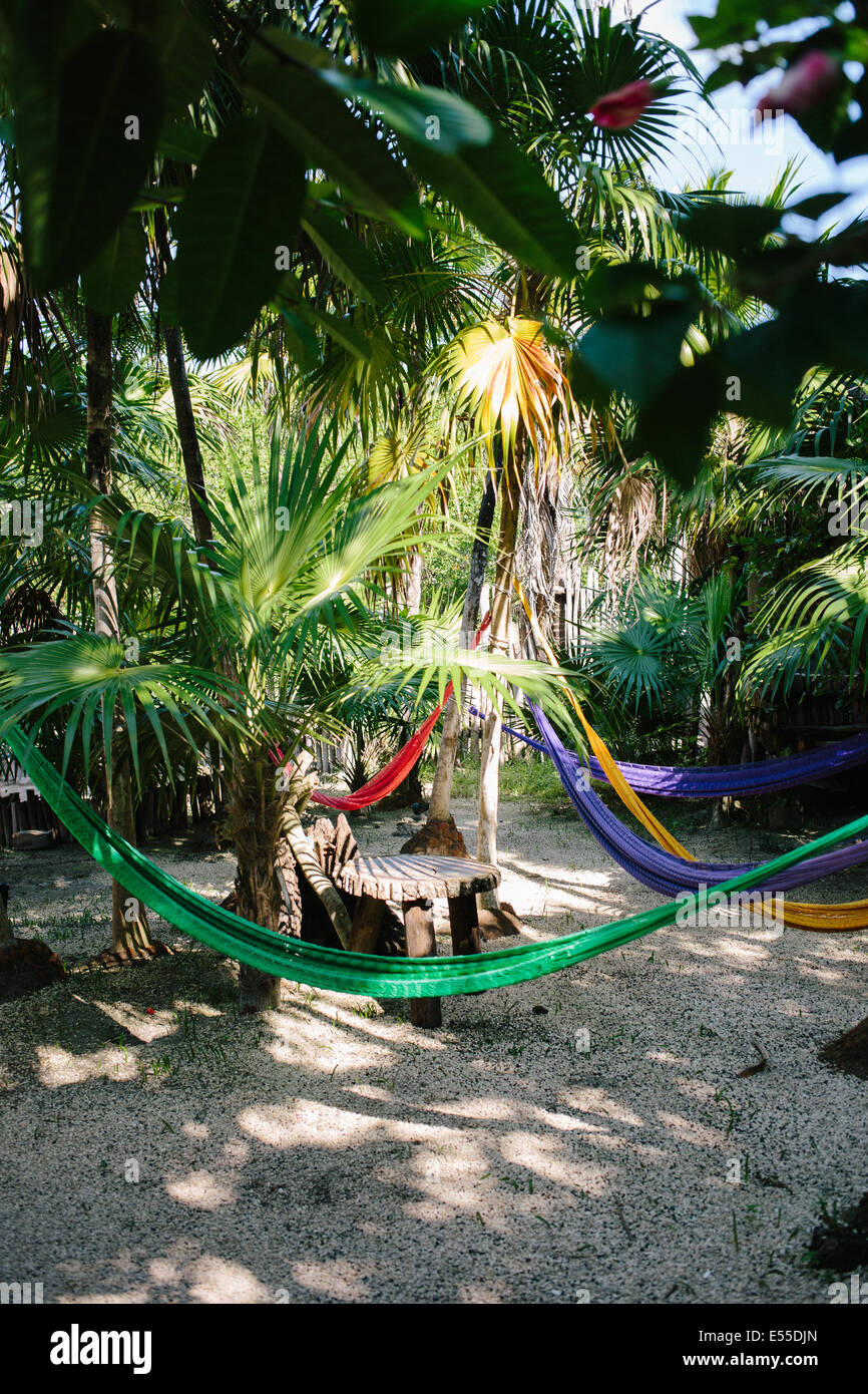 Colorful hammocks along path in Tulum, Mexico Stock Photo - Alamy