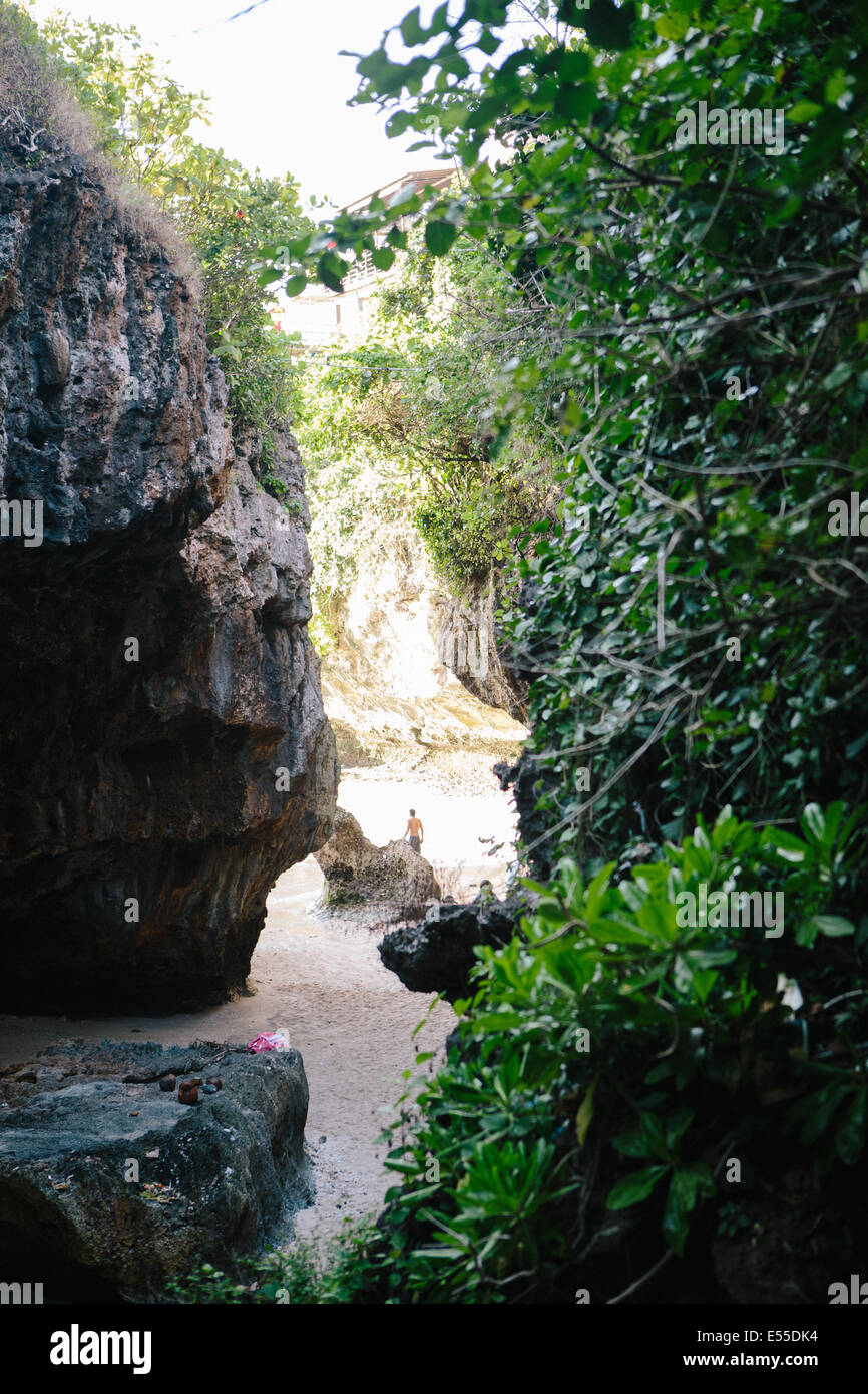 View of ocean in between cliff and foliage in Uluwatu, Bali Stock Photo ...