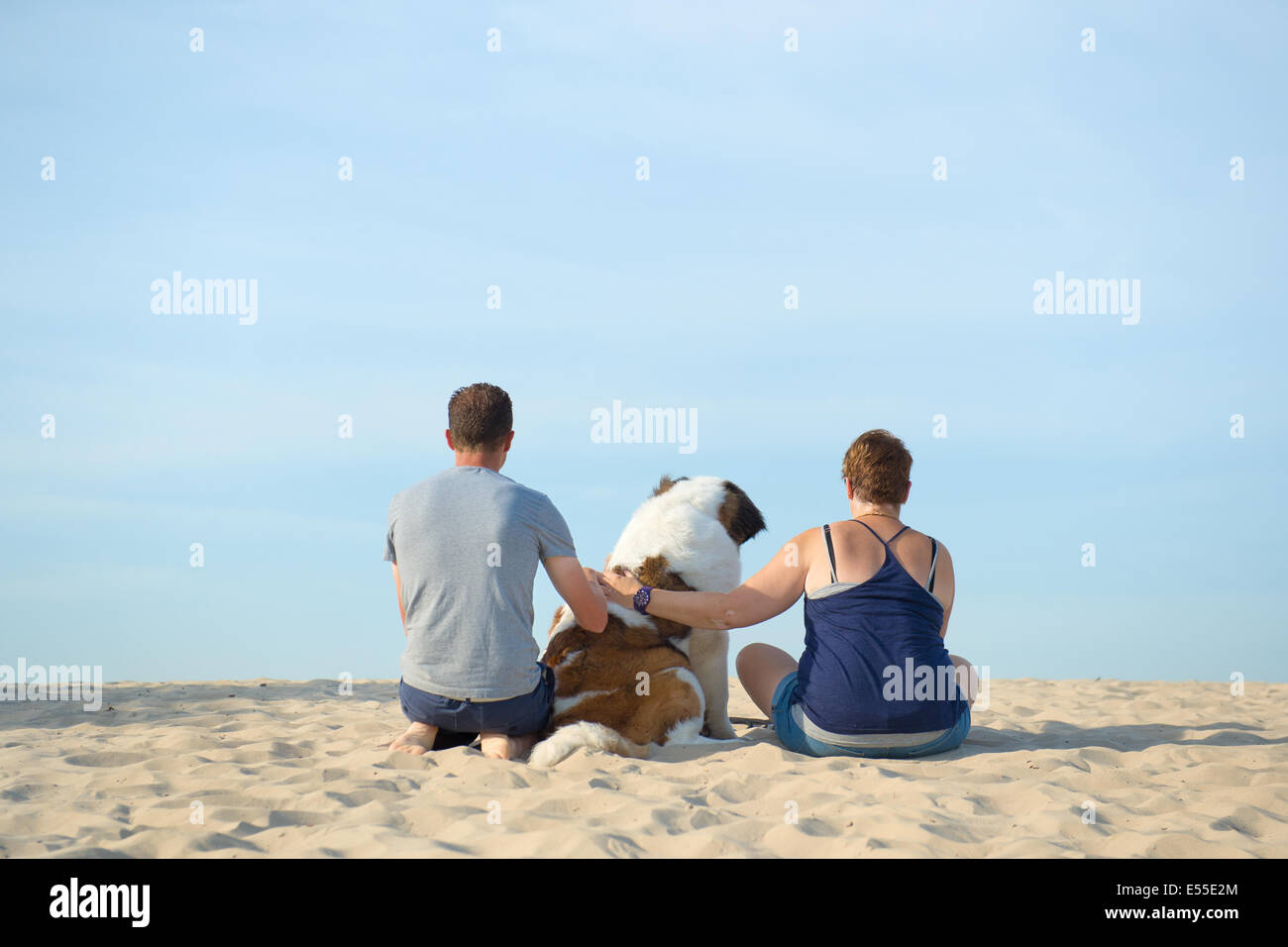 Owners with their big dog at the beach Stock Photo - Alamy
