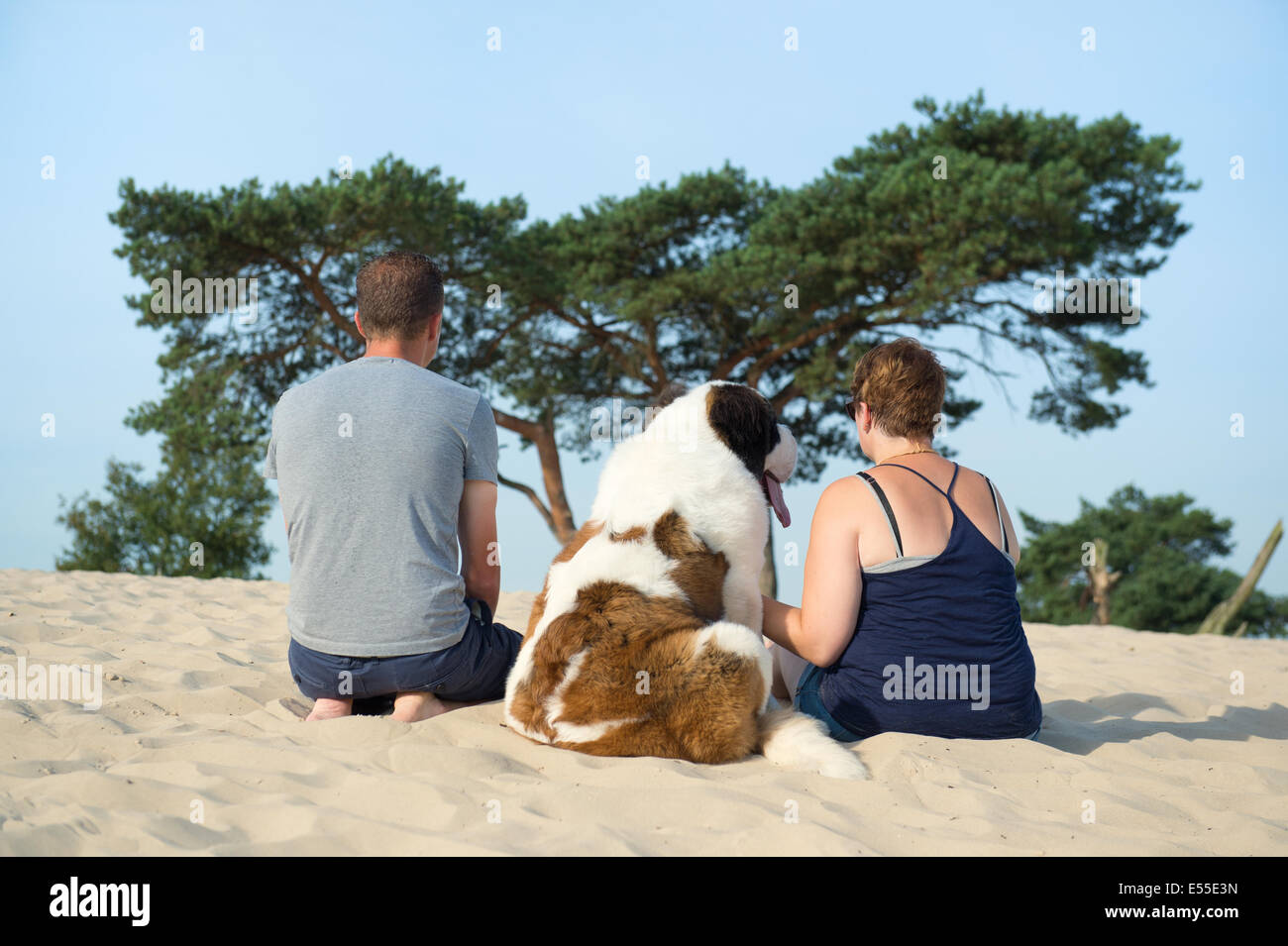 People beach dog landscape hi-res stock photography and images - Alamy
