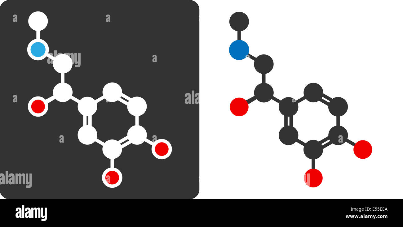 Adrenaline (epinephrine, adrenalin) molecule, flat icon style. Hormone ...