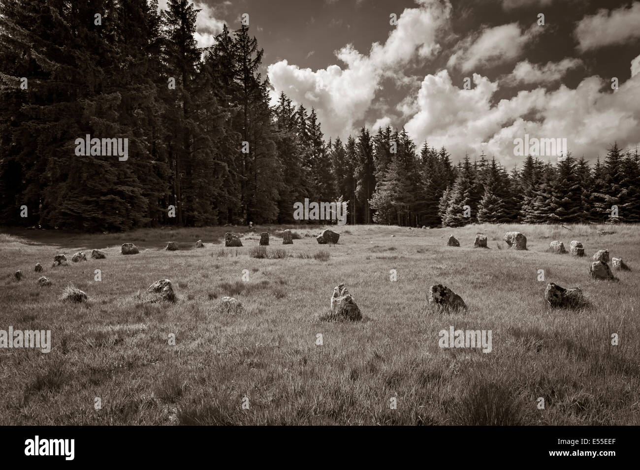 Fernworthy Bronze Age Stone Circle in Dartmoor National Park, Devon, UK ...