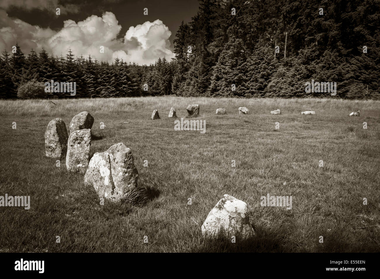 Fernworthy Bronze Age Stone Circle in Dartmoor National Park, Devon, UK ...