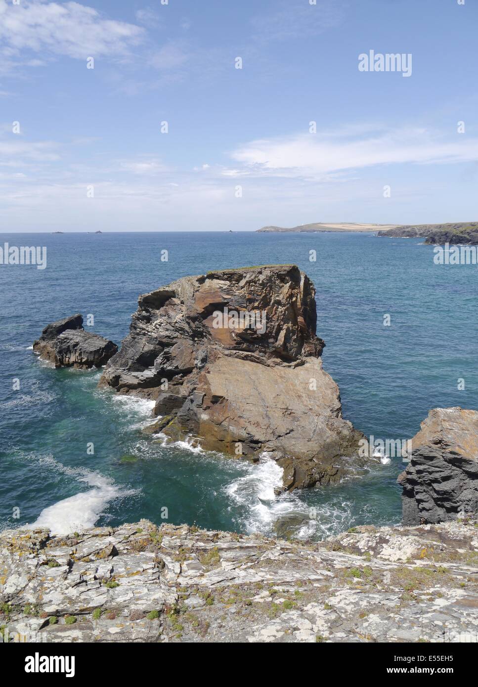 Jagged stump hi-res stock photography and images - Alamy