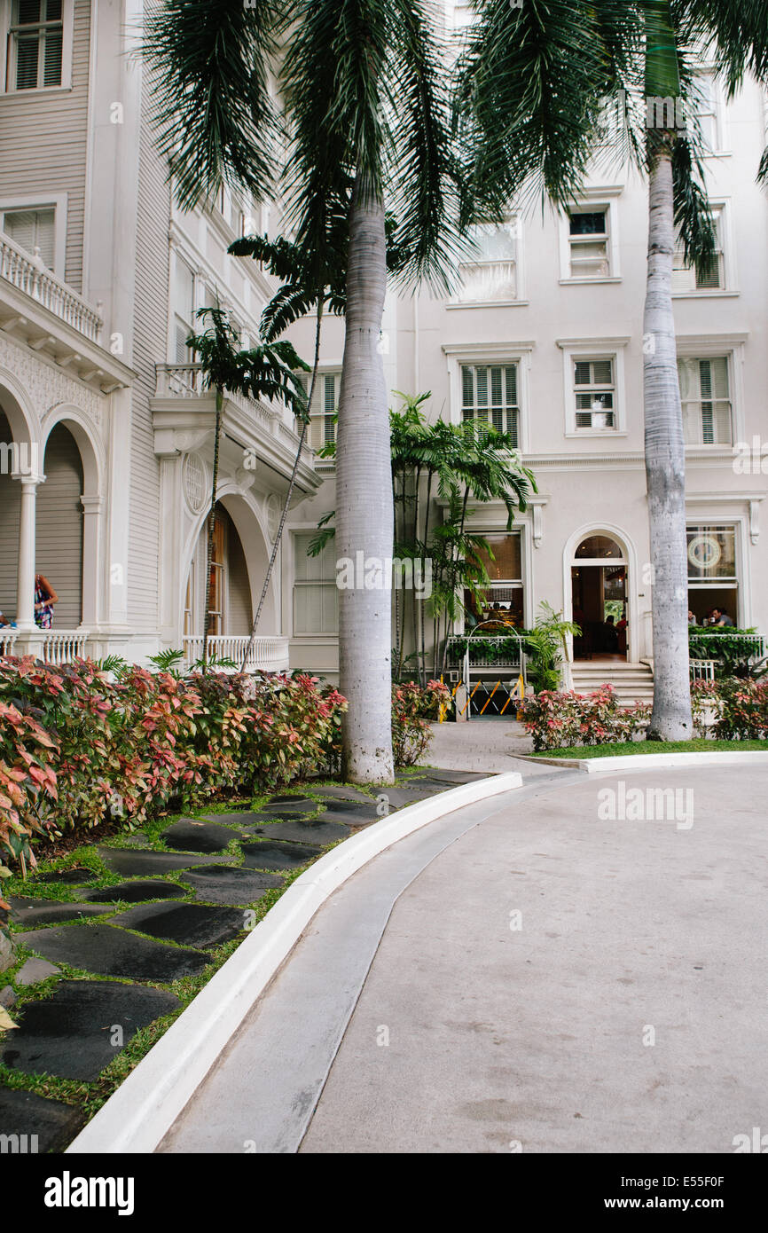 Driveway of luxury resort lined with palms and foliage Stock Photo - Alamy
