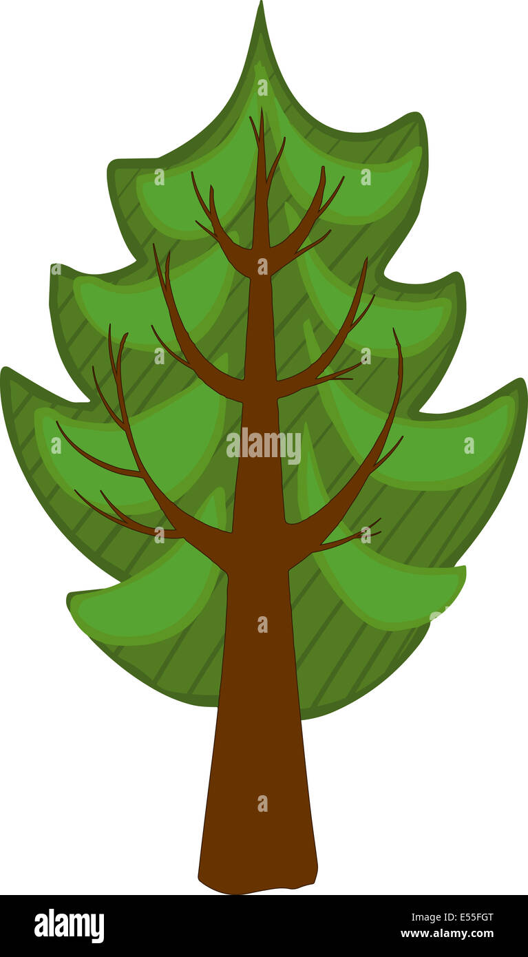 Illustration of a cartoon conifer tree with light and dark green ...
