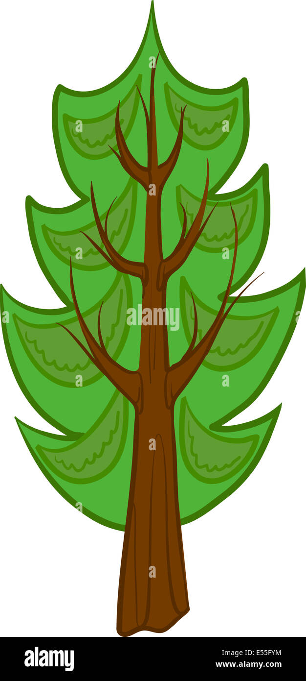 Illustration of a cartoon conifer tree with light green needles, brown ...