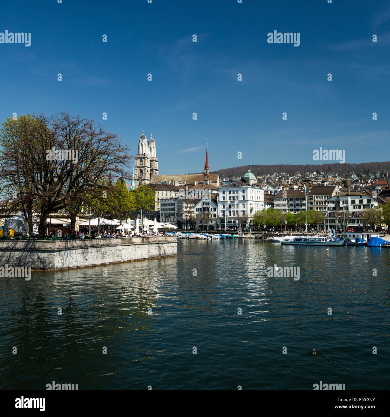 Switzerland trees overlooking lake hi-res stock photography and images ...