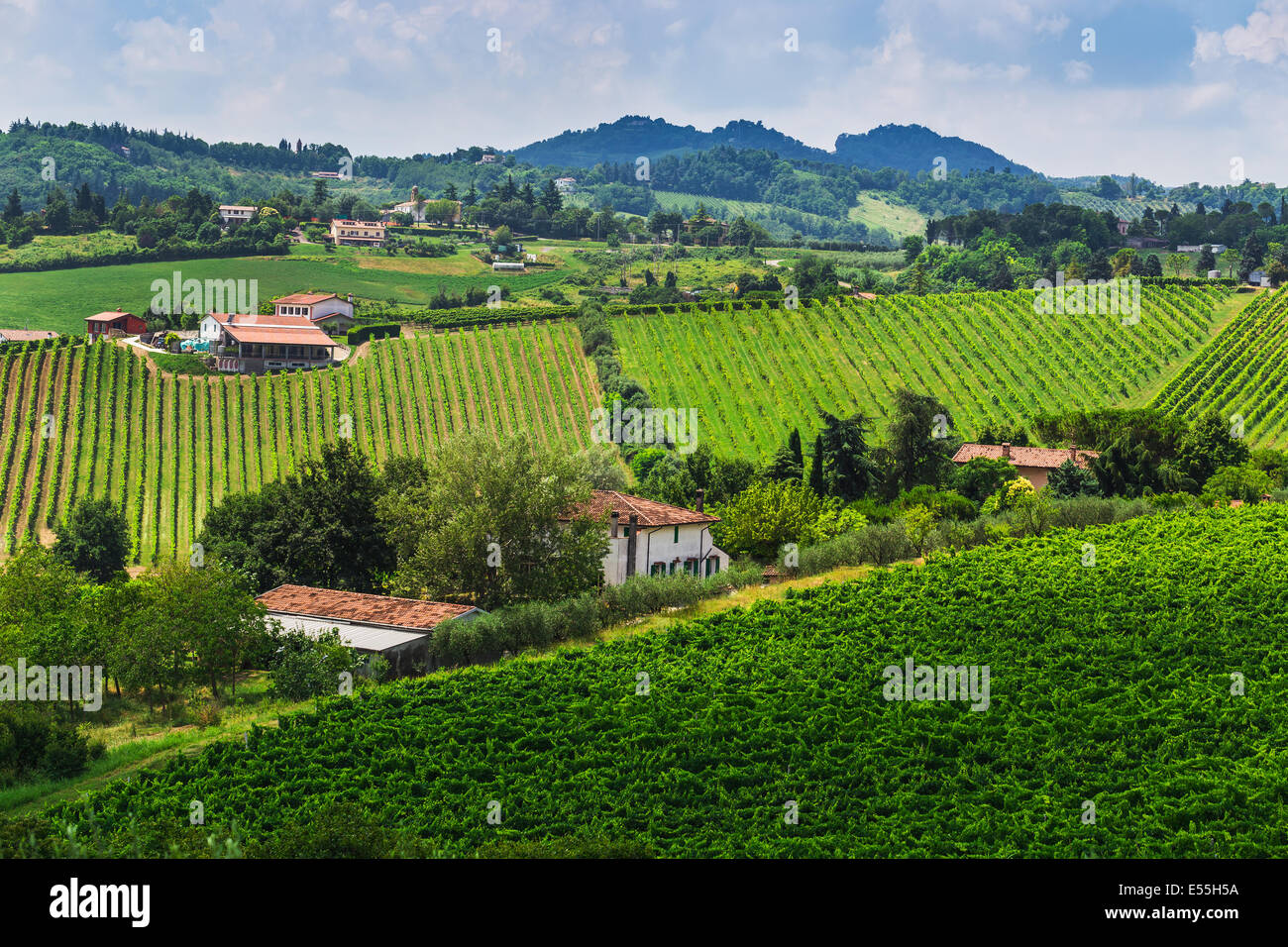 rural landscape with houses standing alone in the province of Tuscany ...