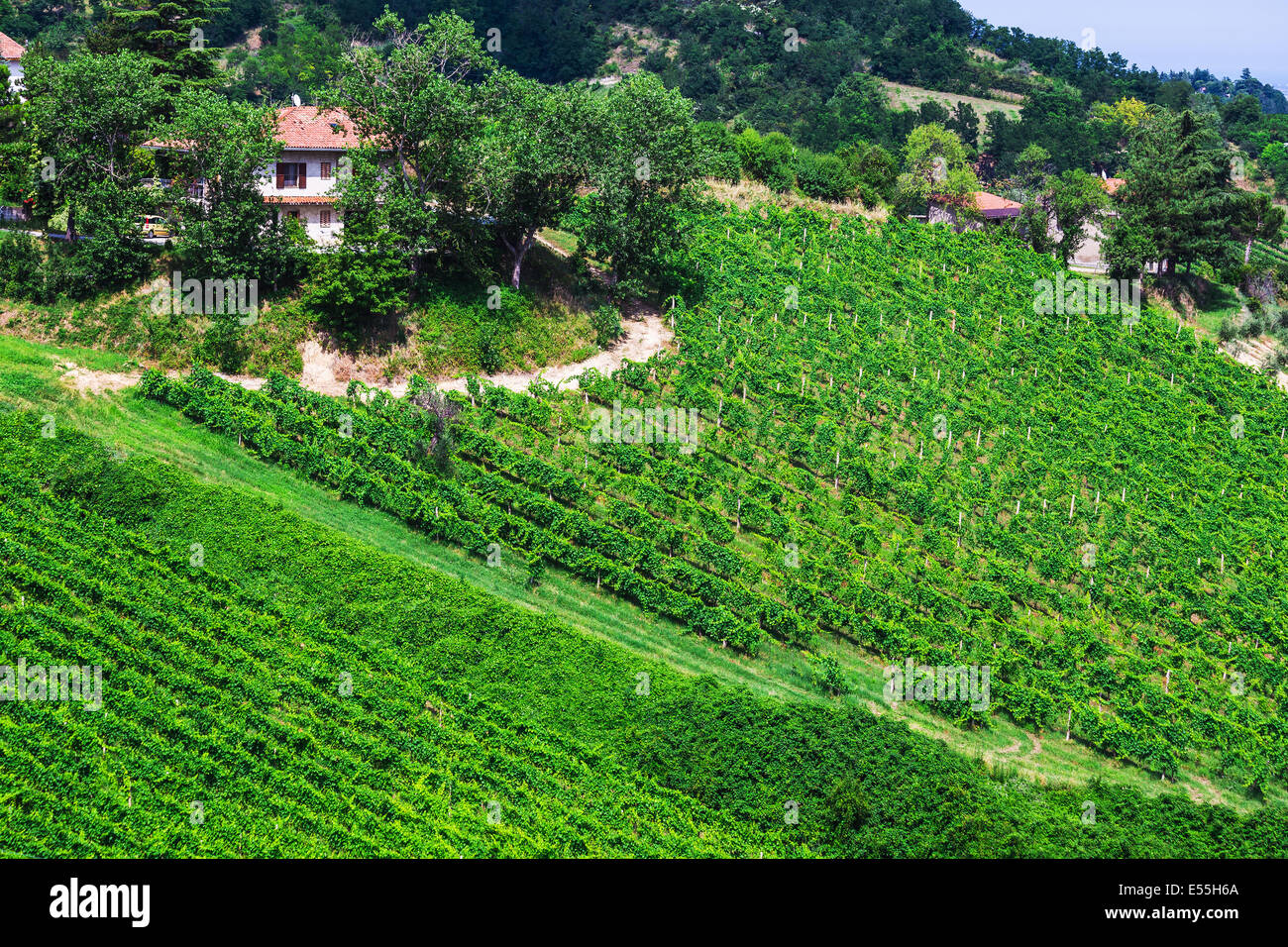 rural landscape with houses standing alone in the province of Tuscany ...
