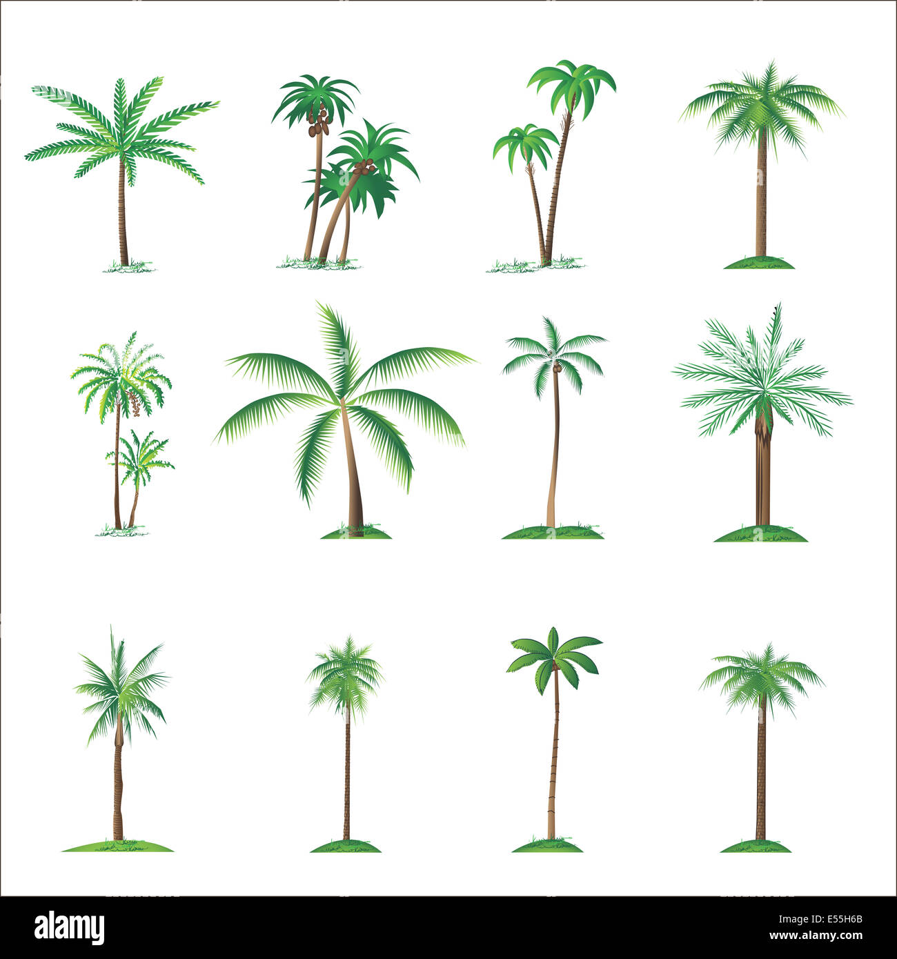 Plam tree hi-res stock photography and images - Alamy