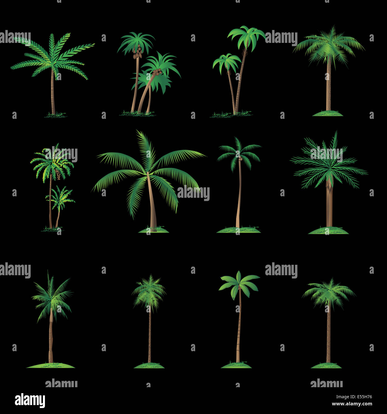 01 Palm tree set Stock Photo - Alamy