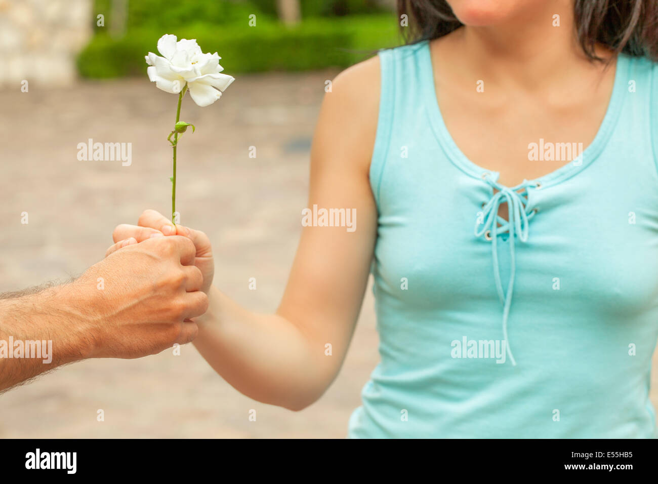 Man Hand Giving Rose To A Woman Stock Photo - Alamy