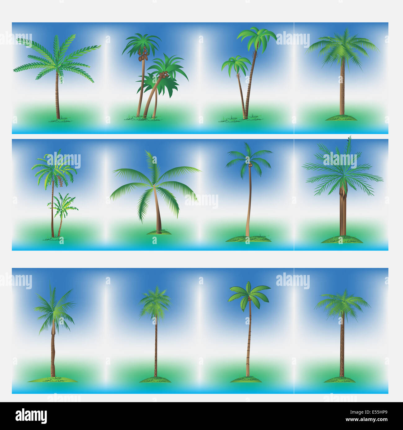 set of palm tree Stock Photo - Alamy