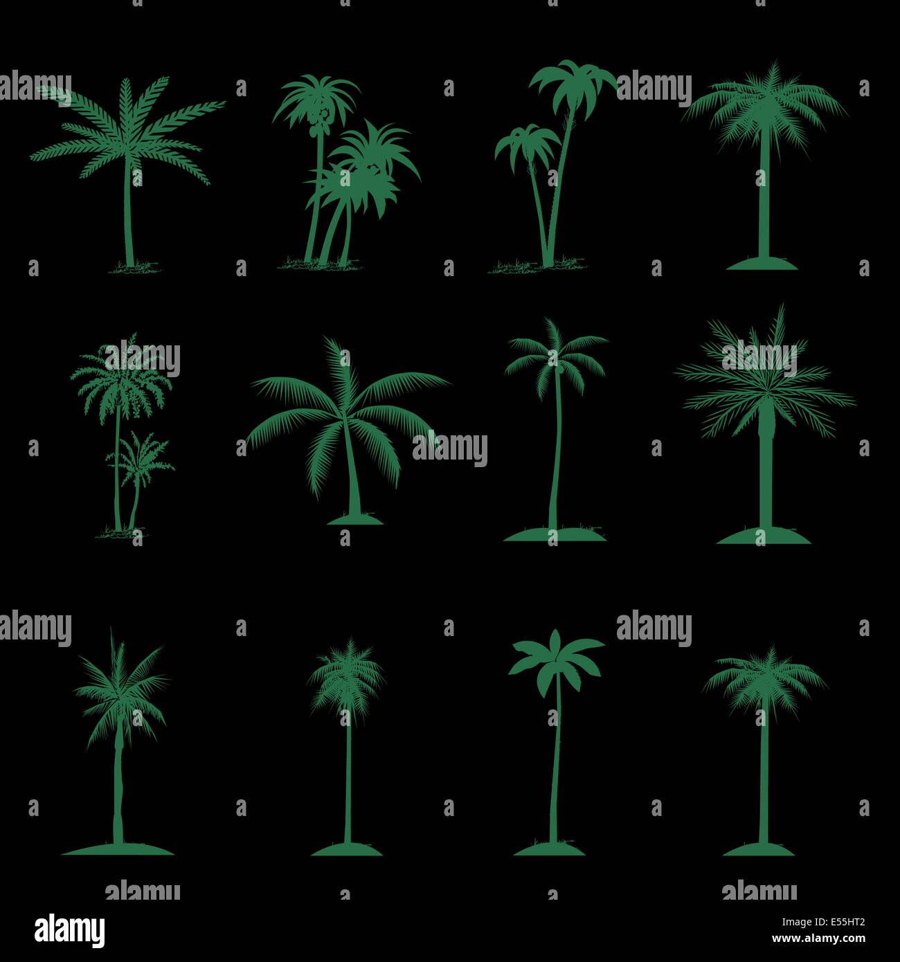 Plam tree hi-res stock photography and images - Alamy