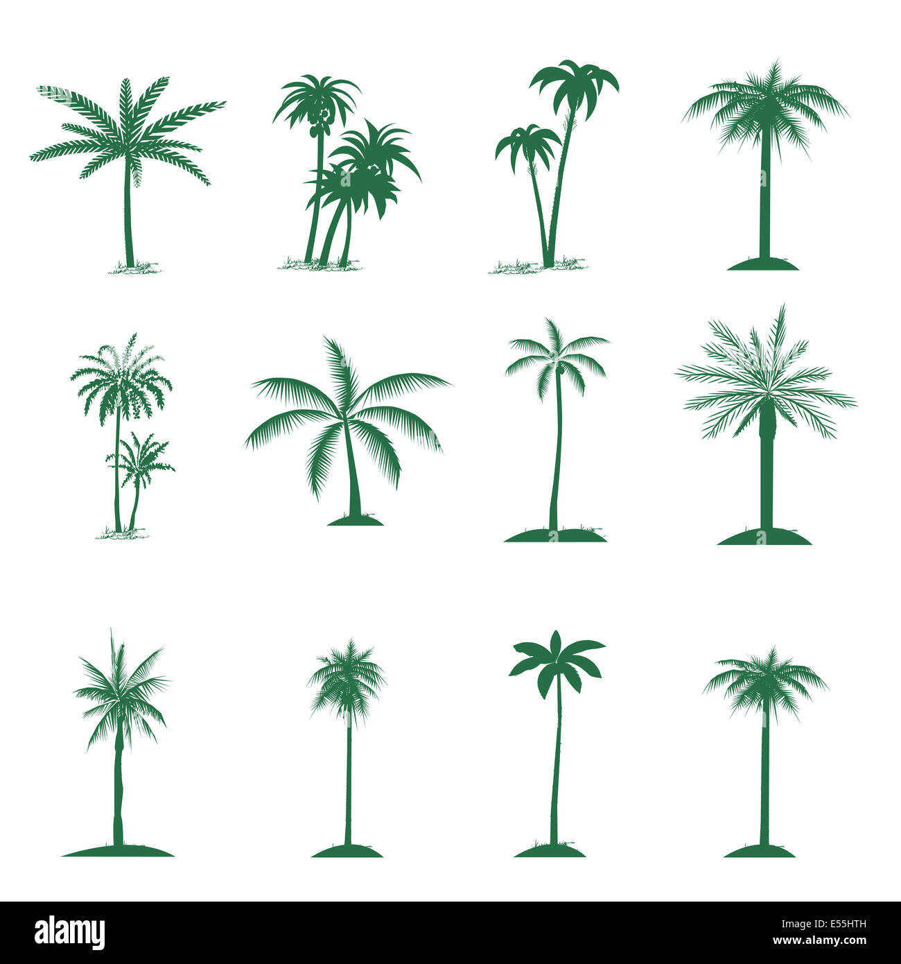 Plam tree hi-res stock photography and images - Alamy