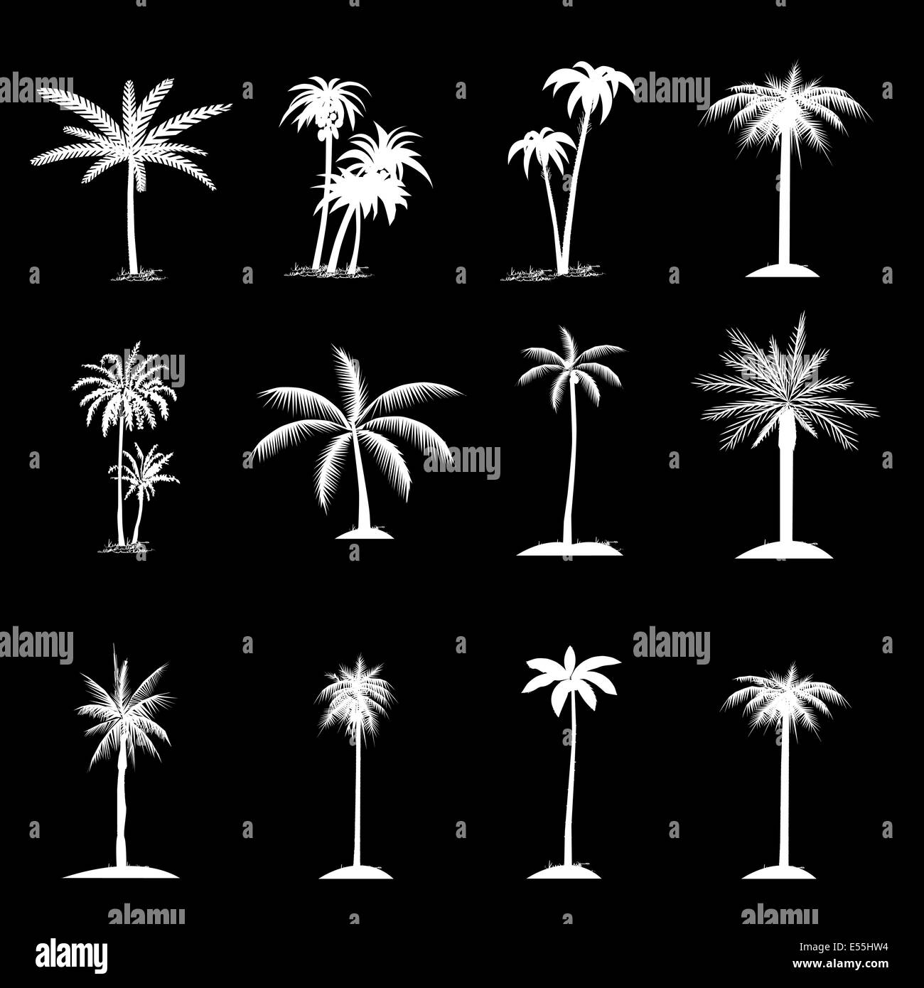 plam tree set Stock Photo - Alamy