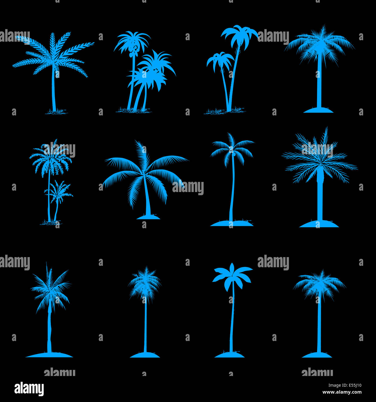 Plam tree set hi-res stock photography and images - Alamy