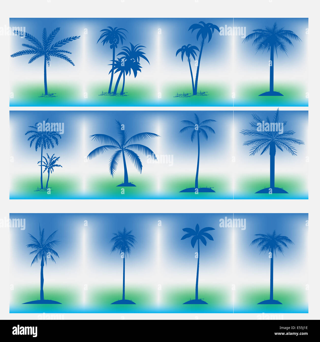 Plam tree hi-res stock photography and images - Alamy