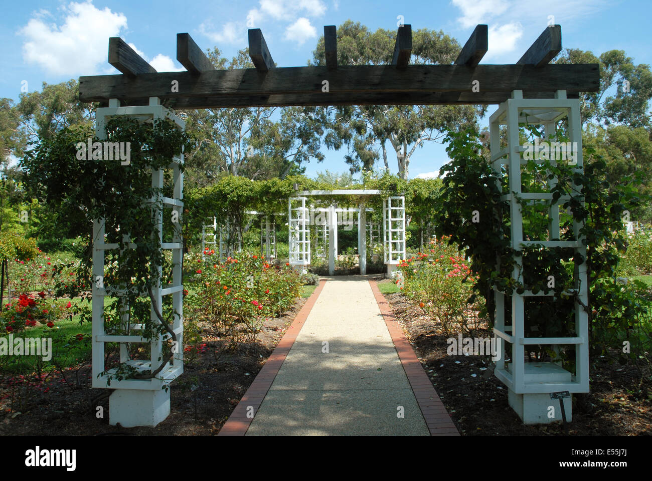 Senate Rose Gardens, Old Parliament House, Canberra, ACT, Australia ...