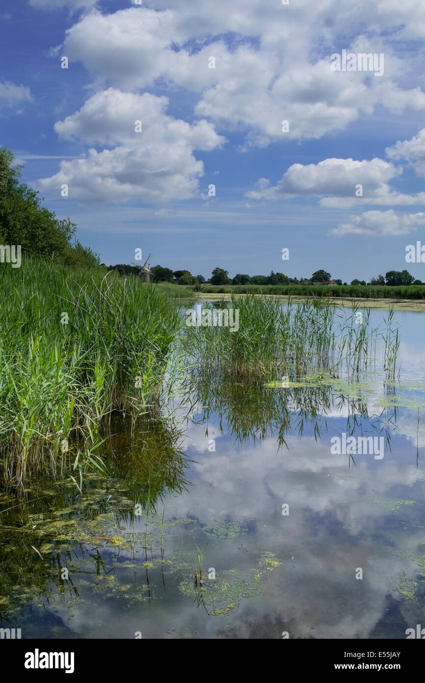 The broads hi-res stock photography and images - Alamy