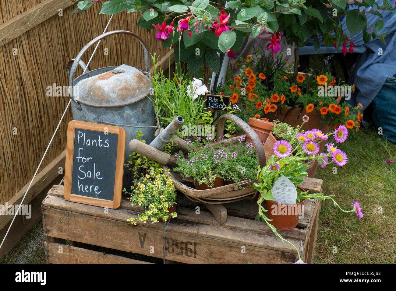 Plant Stall High Resolution Stock Photography and Images - Alamy