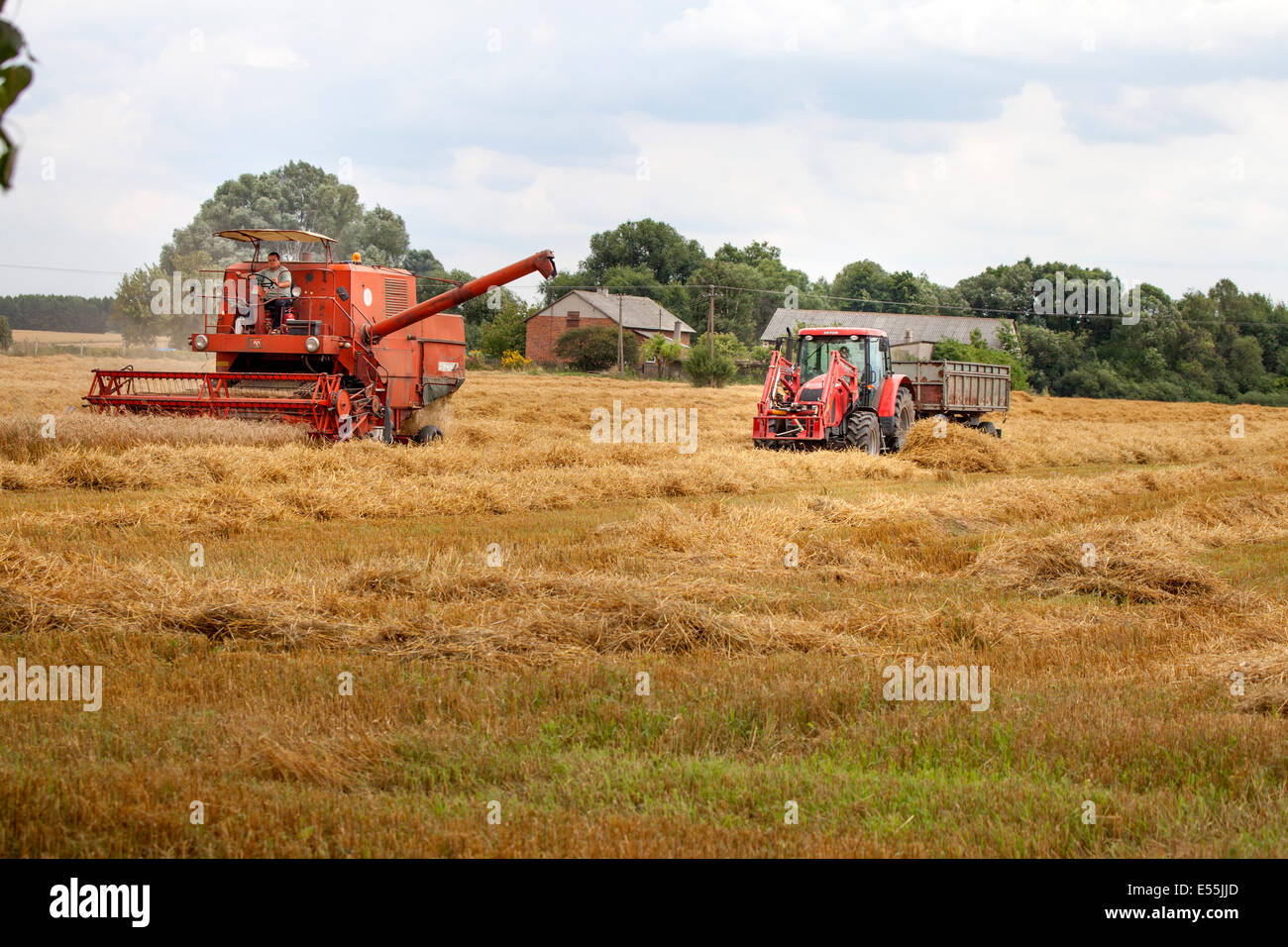 Polish farmers harvesting hay with a combine on farm field. Zawady ...
