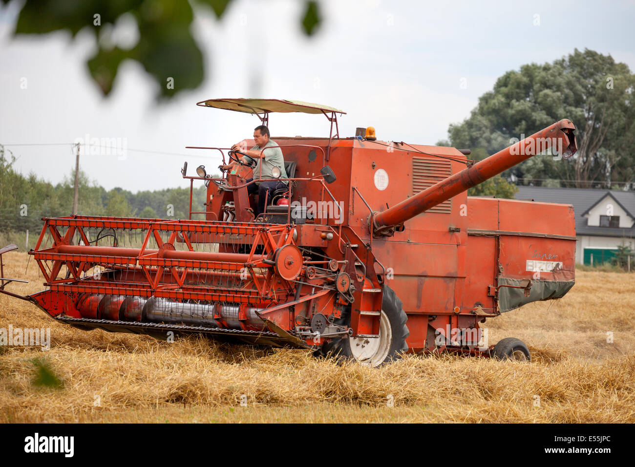 Polish farmer driving combine harvesting hay on his farm. Zawady Poland ...