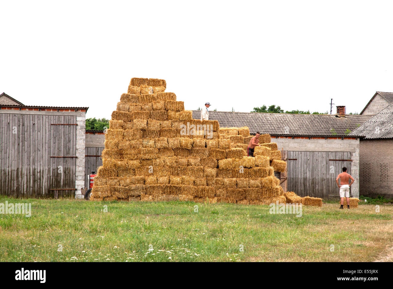 Stacking hay hi-res stock photography and images - Alamy