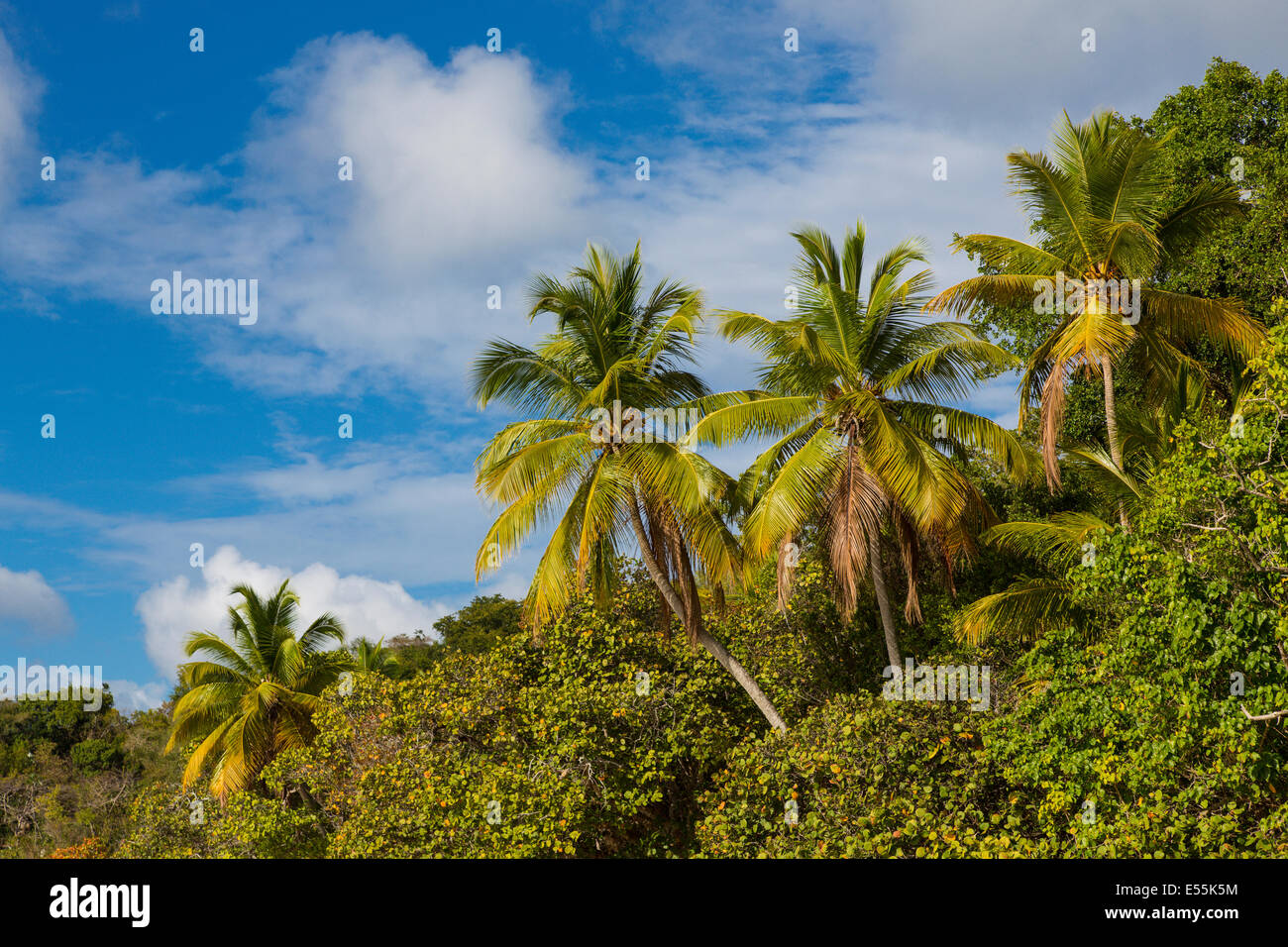 Lush green islands hi-res stock photography and images - Alamy