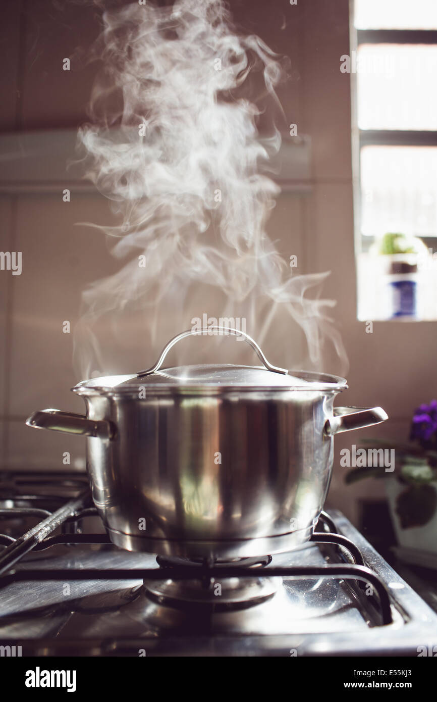 Steaming Pot