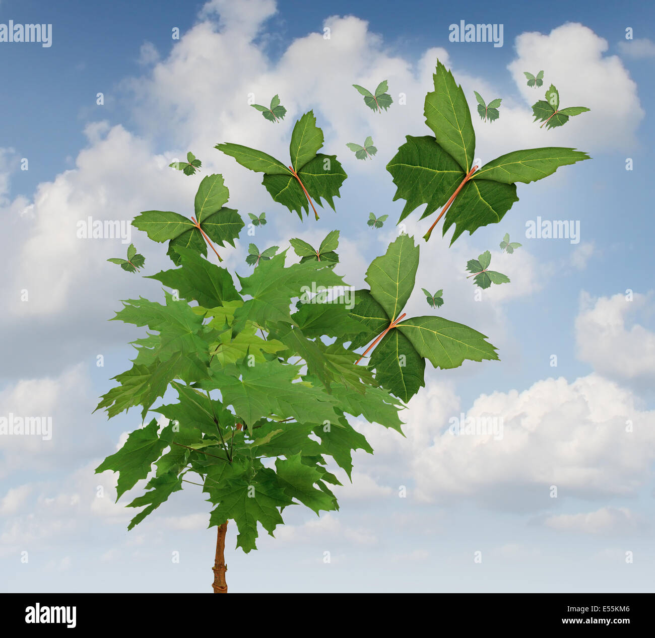 Nature freedom symbol as a growing tree with green leaves transforming ...