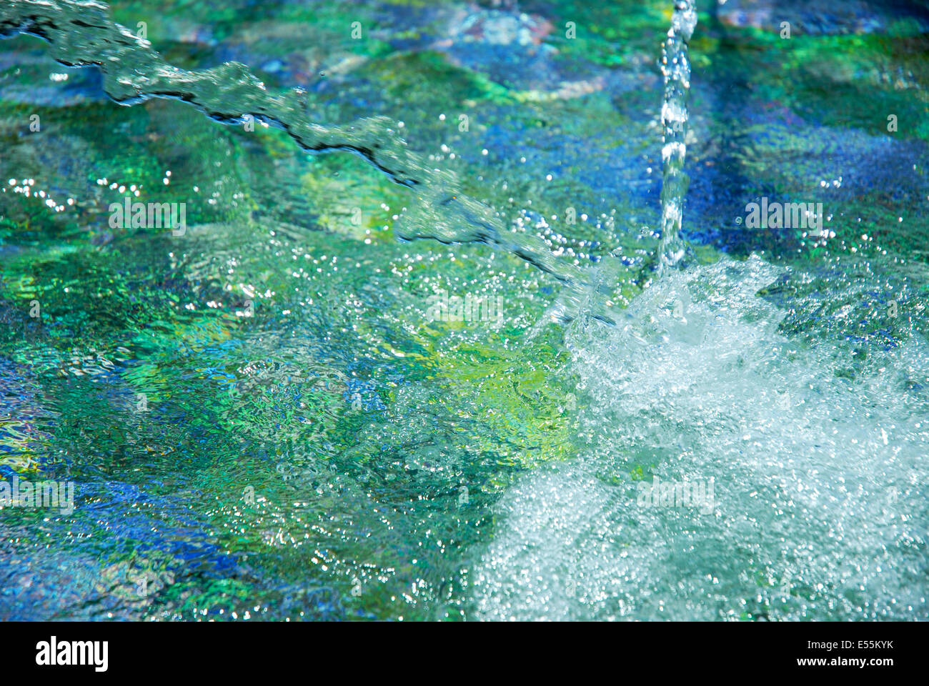 Senate Rose Gardens, Old Parliament House, Canberra, ACT, Australia ...