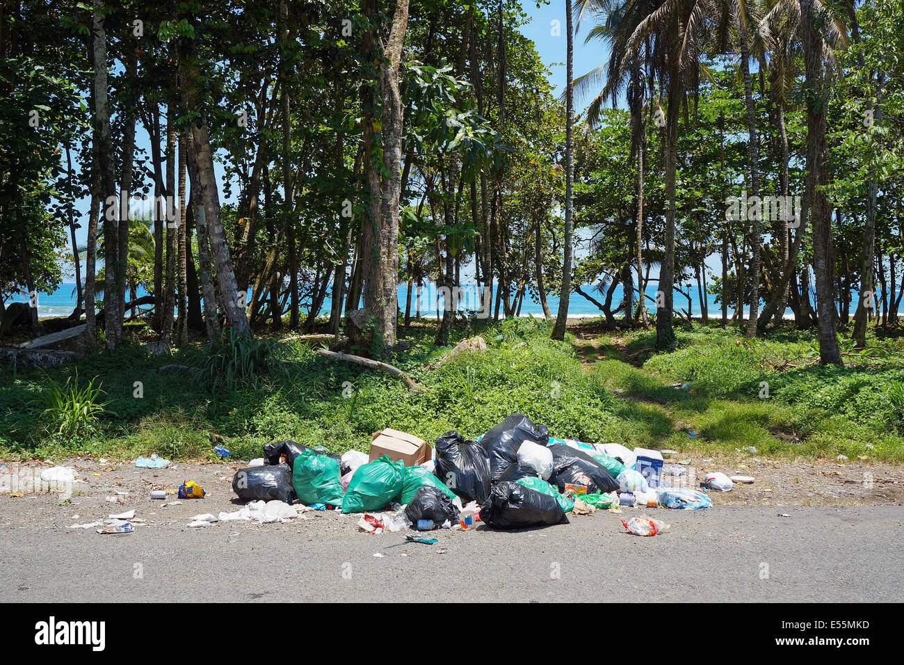 garbage on path to the beach, Puerto Viejo de Talamanca, Caribbean ...