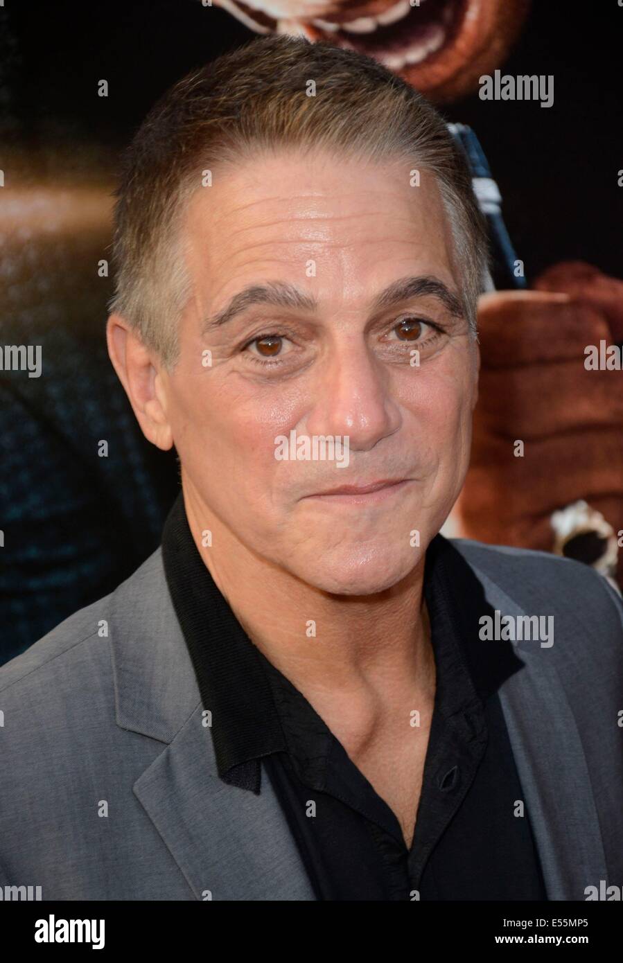 New York, NY, USA. 21st July, 2014. Tony Danza at arrivals for GET ON ...