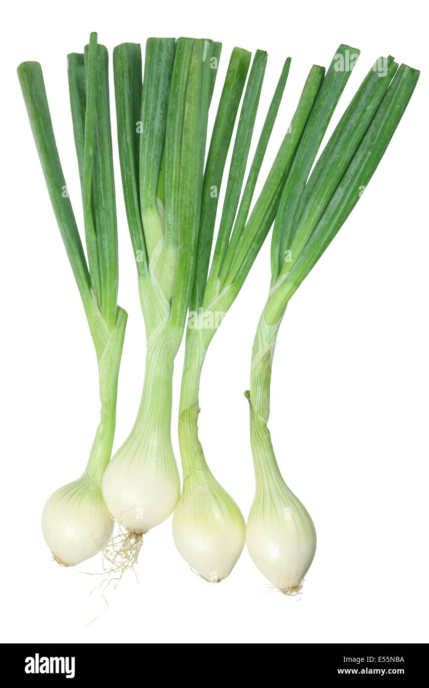 Shallots and scallions hi-res stock photography and images - Alamy