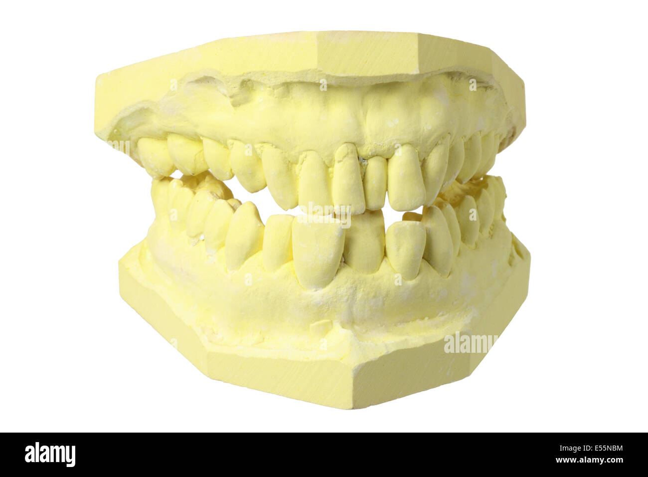 Denture mold Cut Out Stock Images & Pictures - Alamy