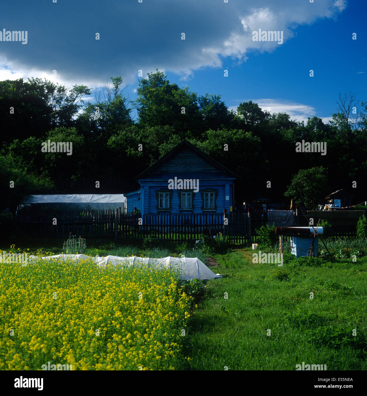 Country house kitchen hi-res stock photography and images - Alamy