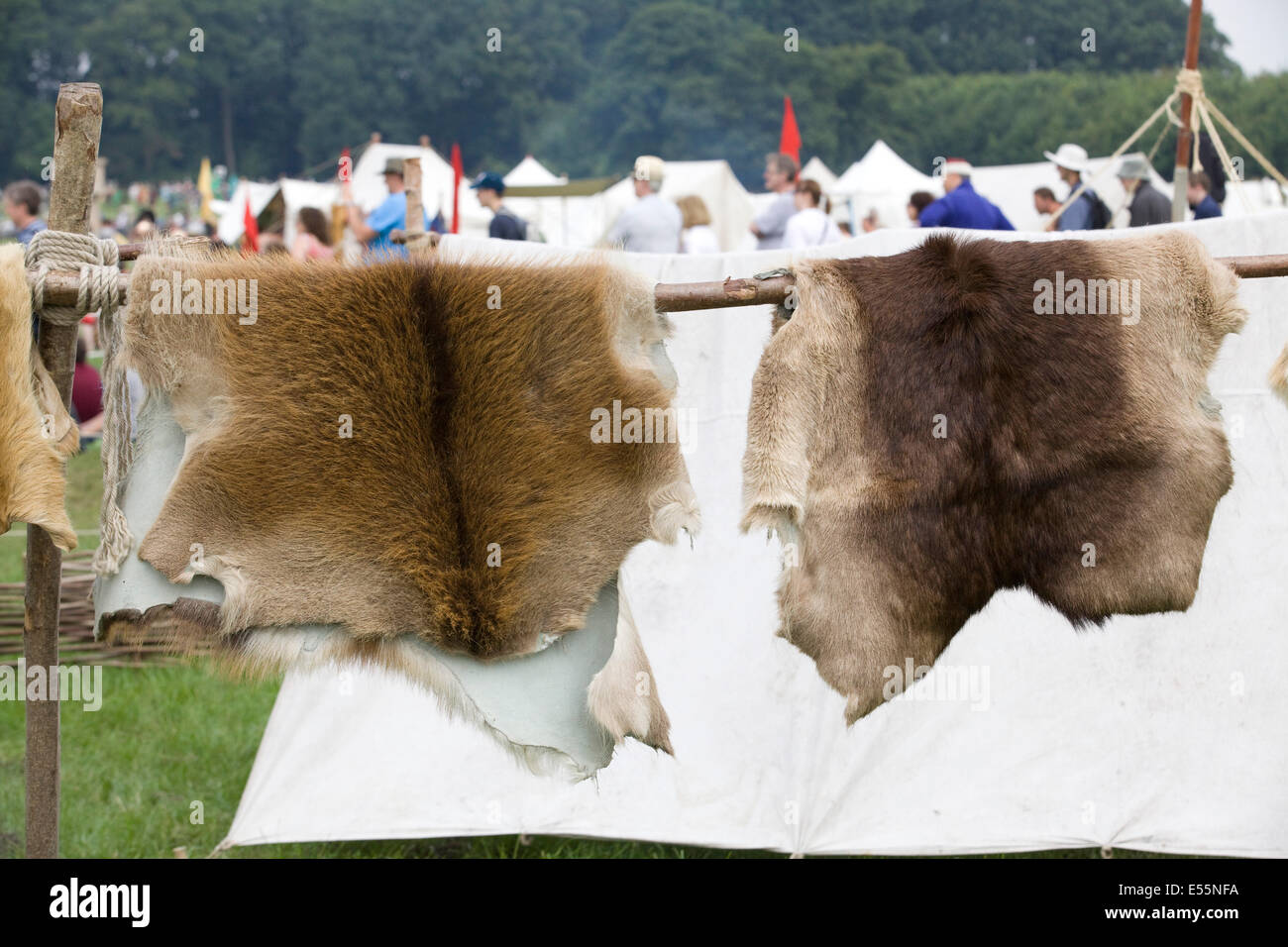 Tanned animal hides hi-res stock photography and images - Alamy
