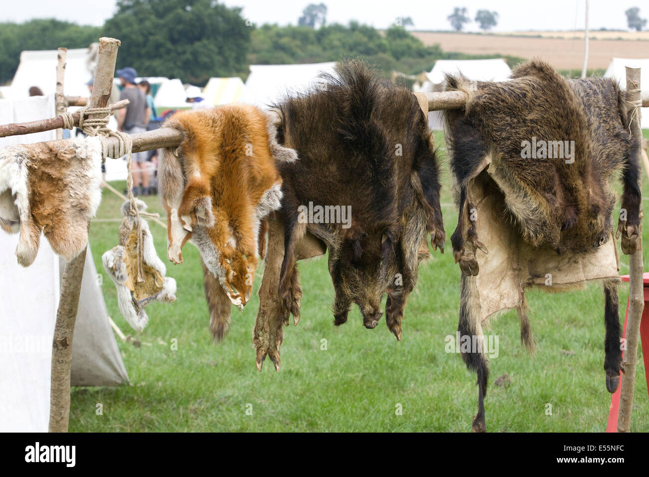 Fur and Leather Animal Hide on show at a festival Stock Photo - Alamy