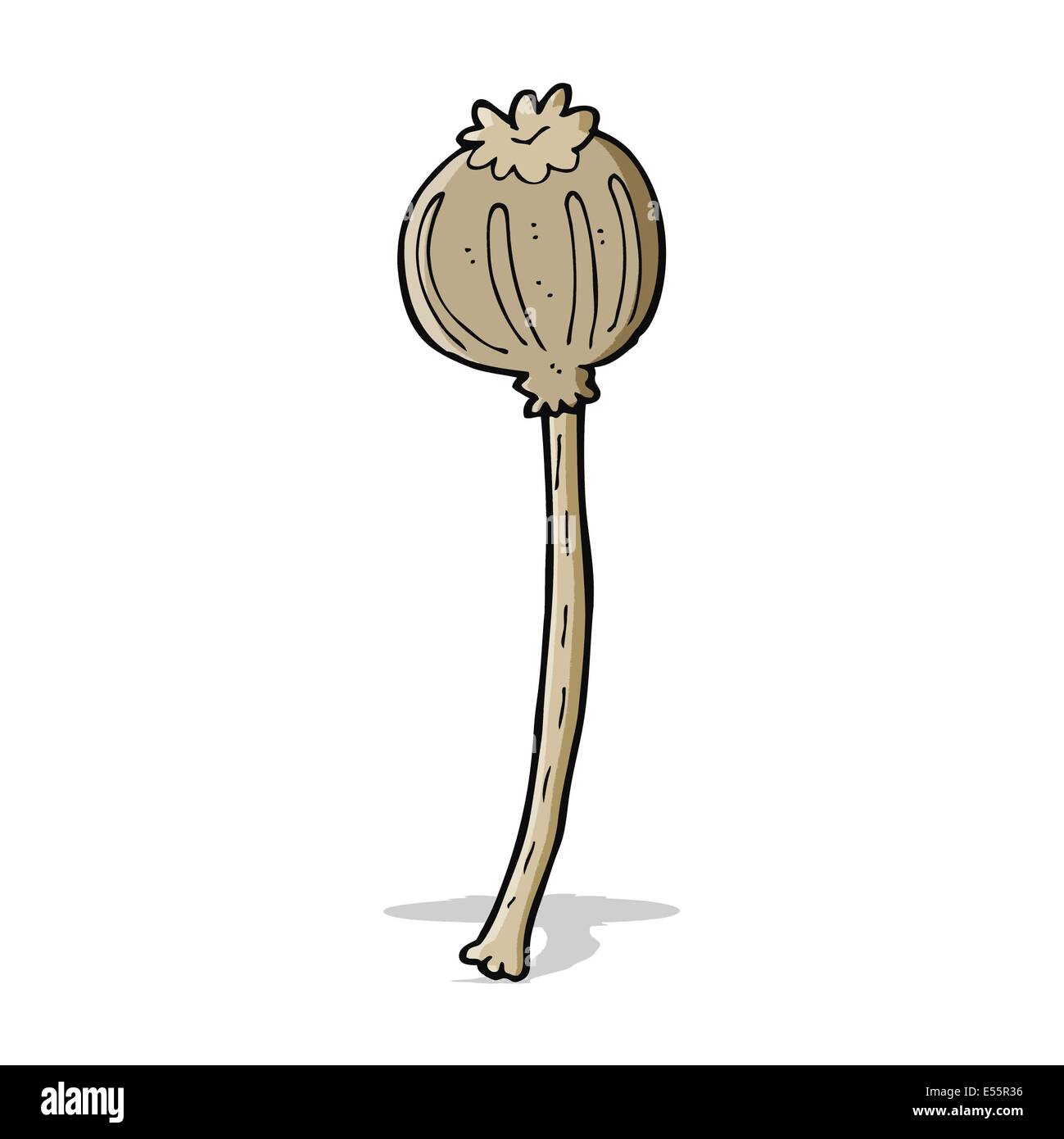 cartoon dried poppy Stock Vector Image & Art - Alamy