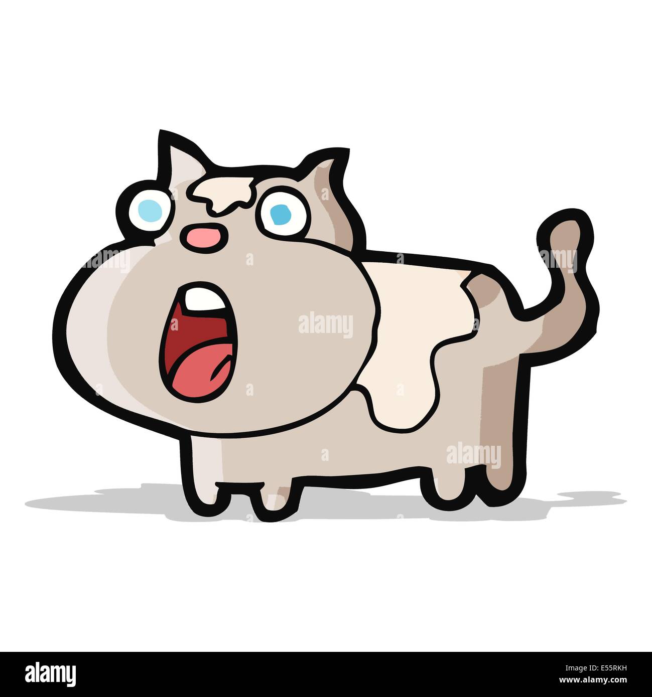 cartoon shocked cat Stock Vector Image & Art - Alamy