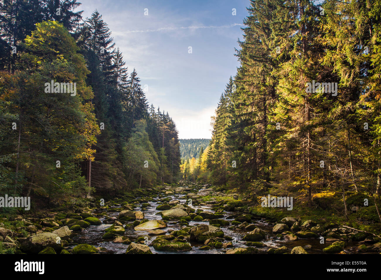 Bohemian forest hi-res stock photography and images - Alamy