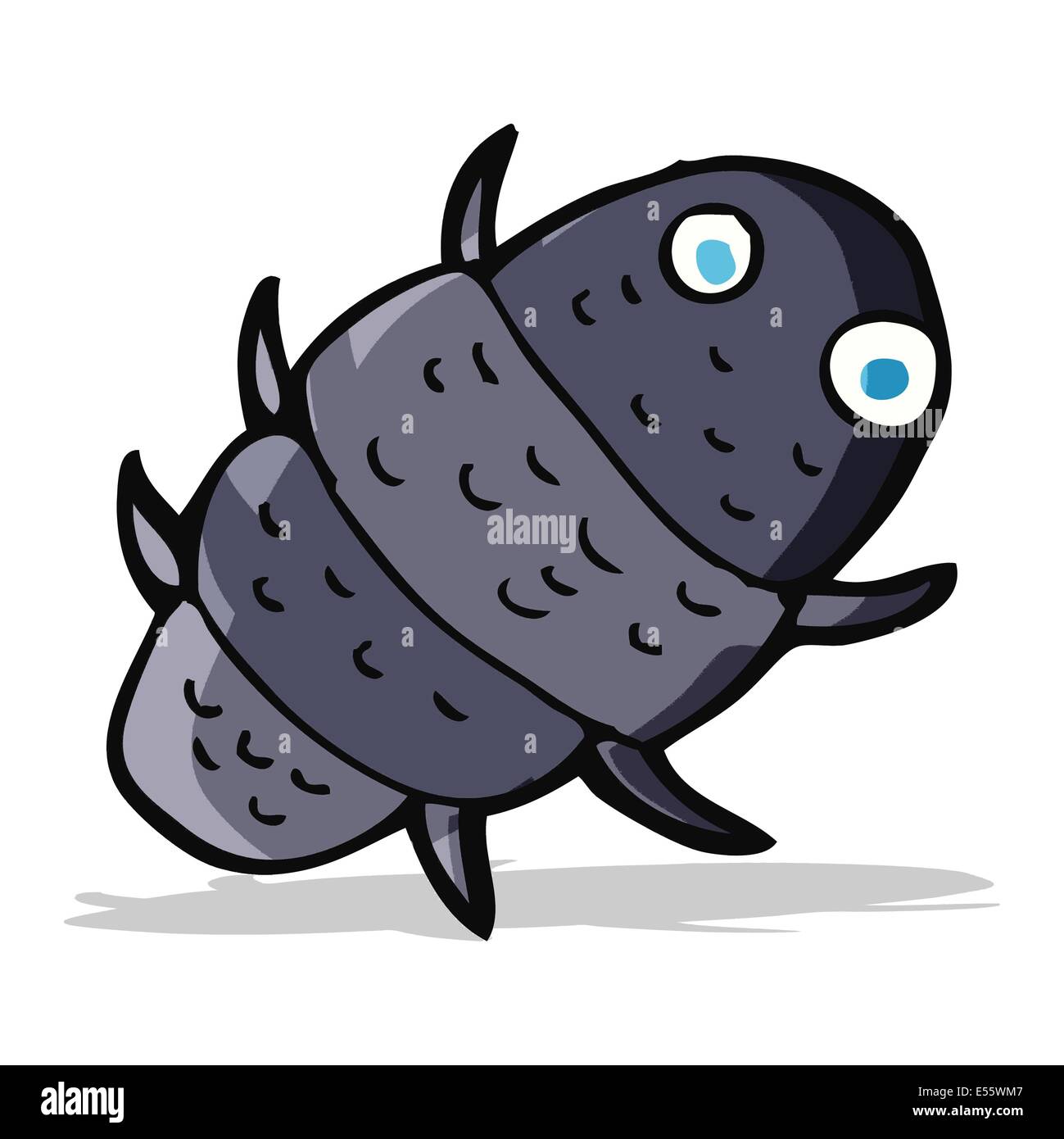Woodlouse illustration Cut Out Stock Images & Pictures - Alamy