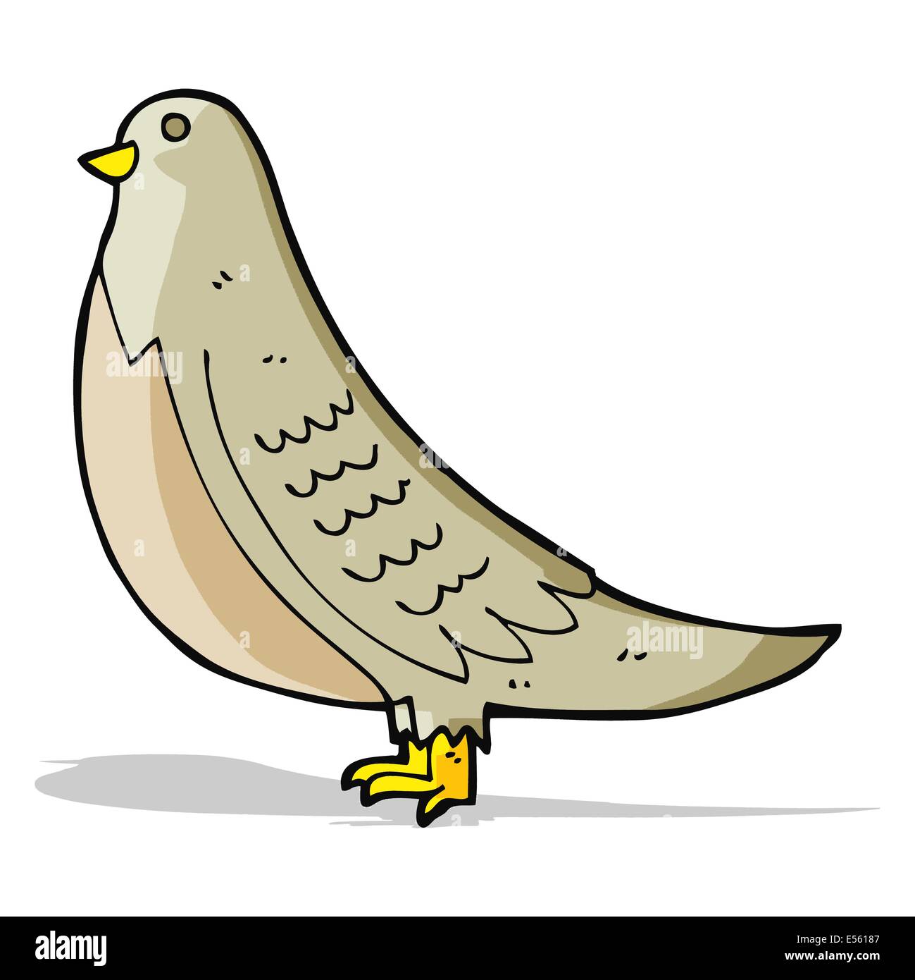 cartoon common bird Stock Vector Image & Art - Alamy