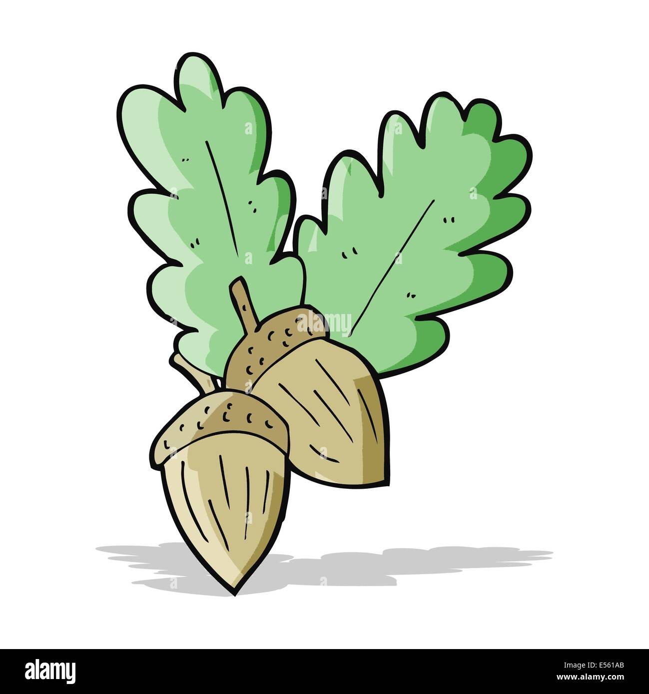 Acorns clip art line drawing hi-res stock photography and images - Alamy
