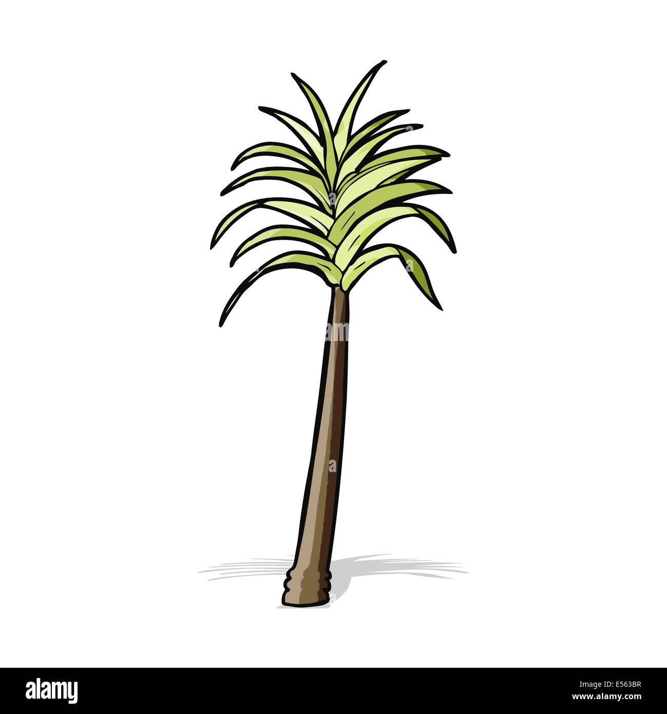 cartoon palm tree Stock Vector Image & Art - Alamy