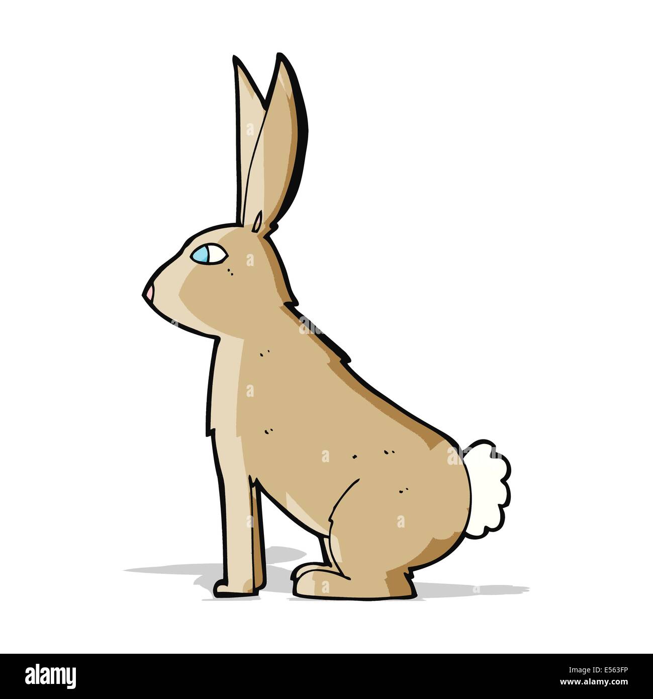 Rough rabbit Cut Out Stock Images & Pictures - Alamy