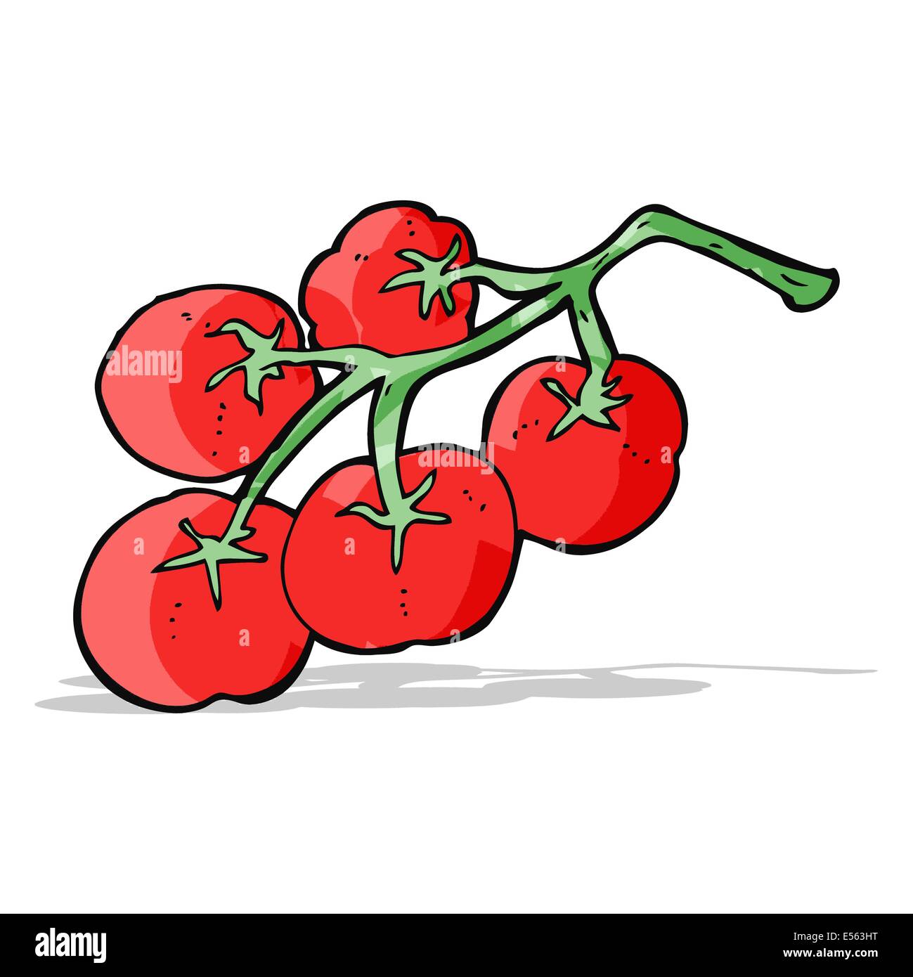 tomatoes on vine illustration Stock Vector Image & Art - Alamy